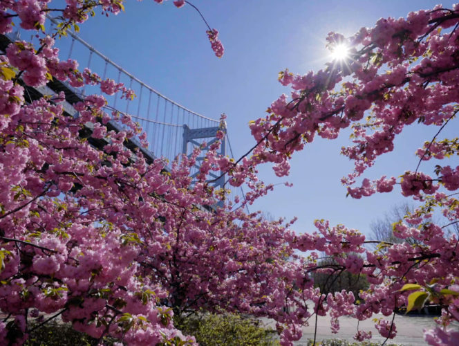 Spring Events in Philadelphia — Visit Philadelphia