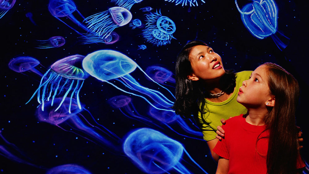 The Best Things to Do in Philadelphia in Spring 2022 — Visit Philadelphia