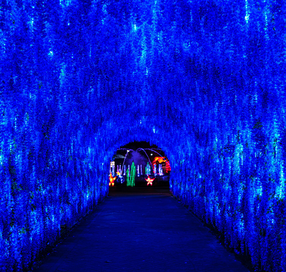 Philly's 18 Most Brilliant Lights & Light Shows | Visit Philadelphia