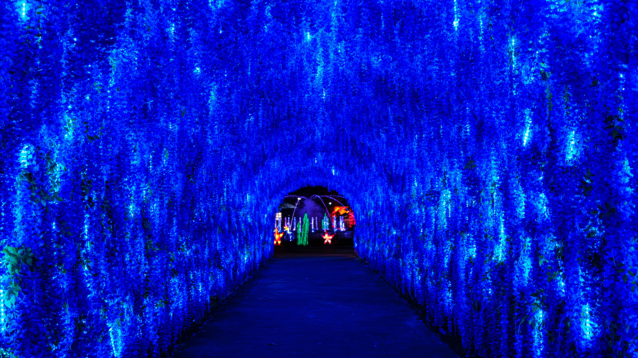 Philly's 18 Most Brilliant Lights & Light Shows | Visit Philadelphia