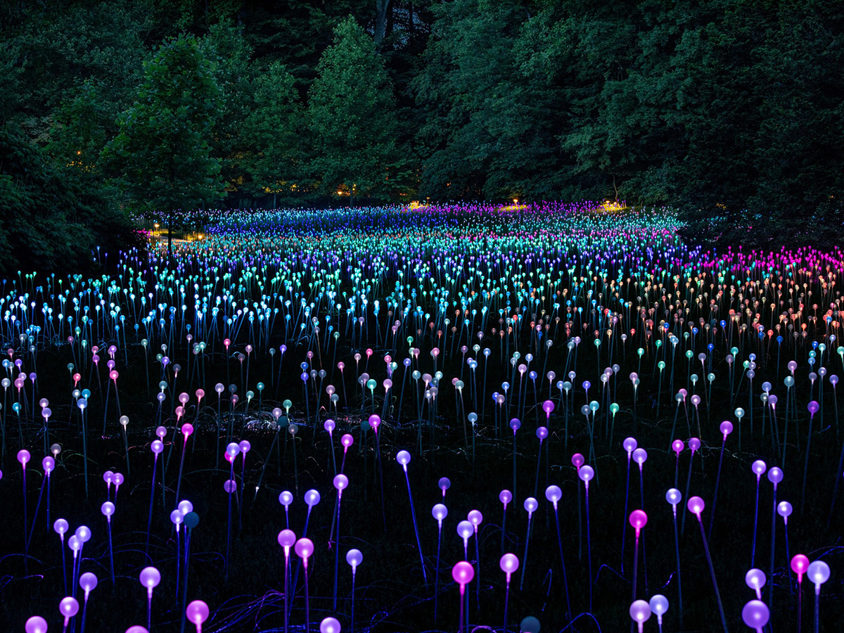 Philly's 18 Most Brilliant Lights & Light Shows | Visit Philadelphia