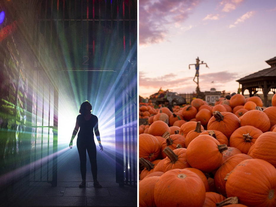 A Complete Guide to Halloween in Philadelphia — Visit Philadelphia