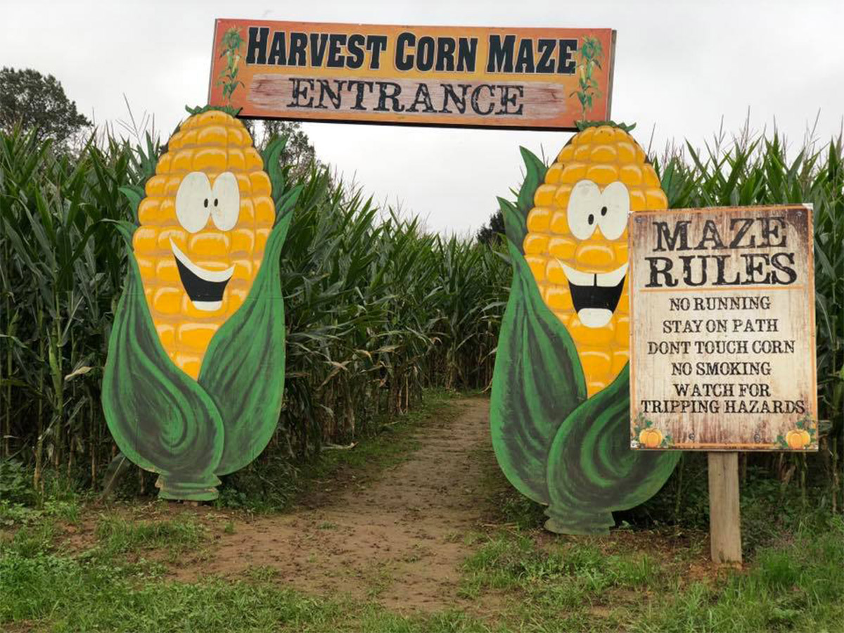 15 Farms & Attractions for Fall Fun in Greater Philadelphia – Visit ...