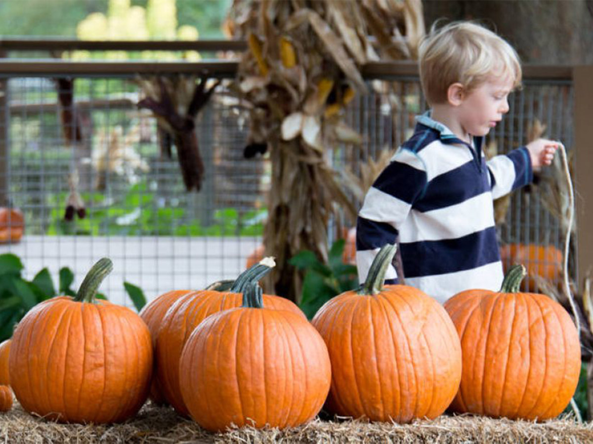15 Farms & Attractions for Fall Fun in Greater Philadelphia – Visit ...