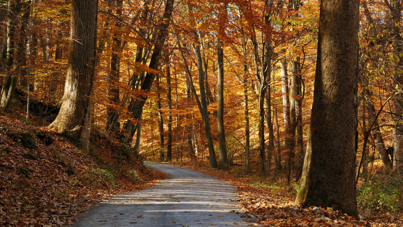 Four Fall Foliage Road Trips in Greater Philadelphia | Visit Philadelphia