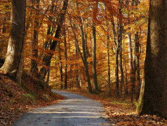 Ardmore | Visit Philadelphia