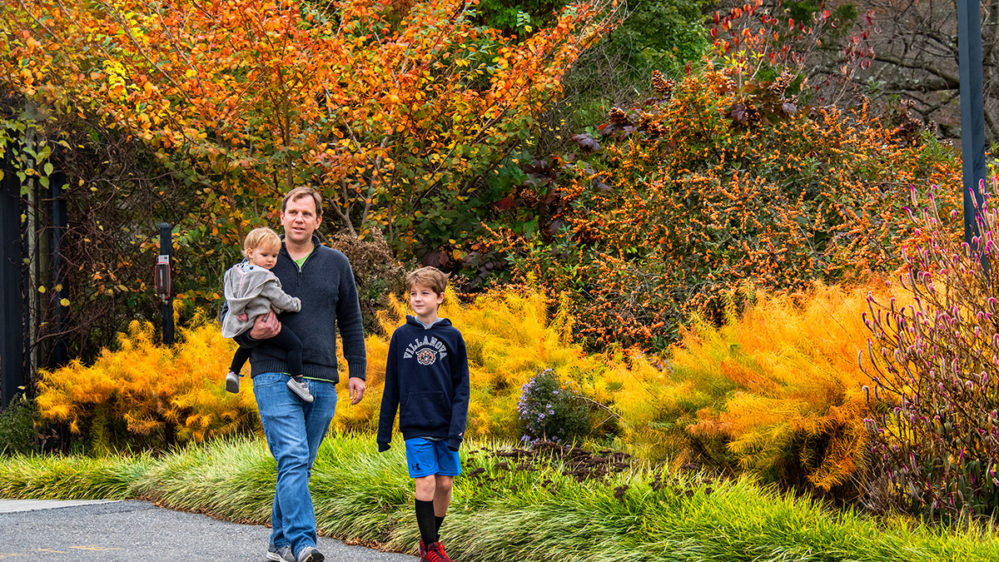 The Best Spots to View Fall Foliage in Greater Philadelphia | Visit ...
