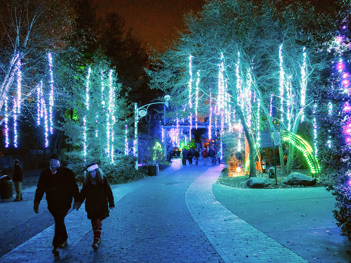 Philly's Best Christmas Lights & Holiday Light Shows in 2022 | Visit Philly