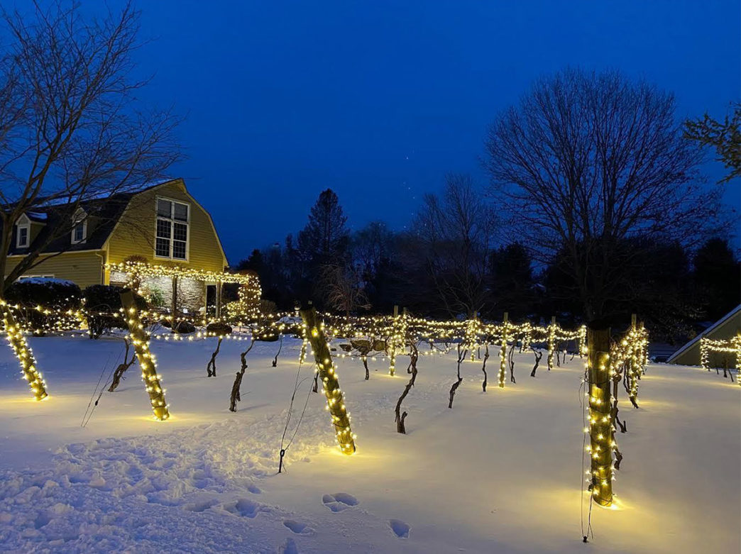 20 Holiday Pop-Up Bars & Restaurants in Philly for 2022 — Visit ...