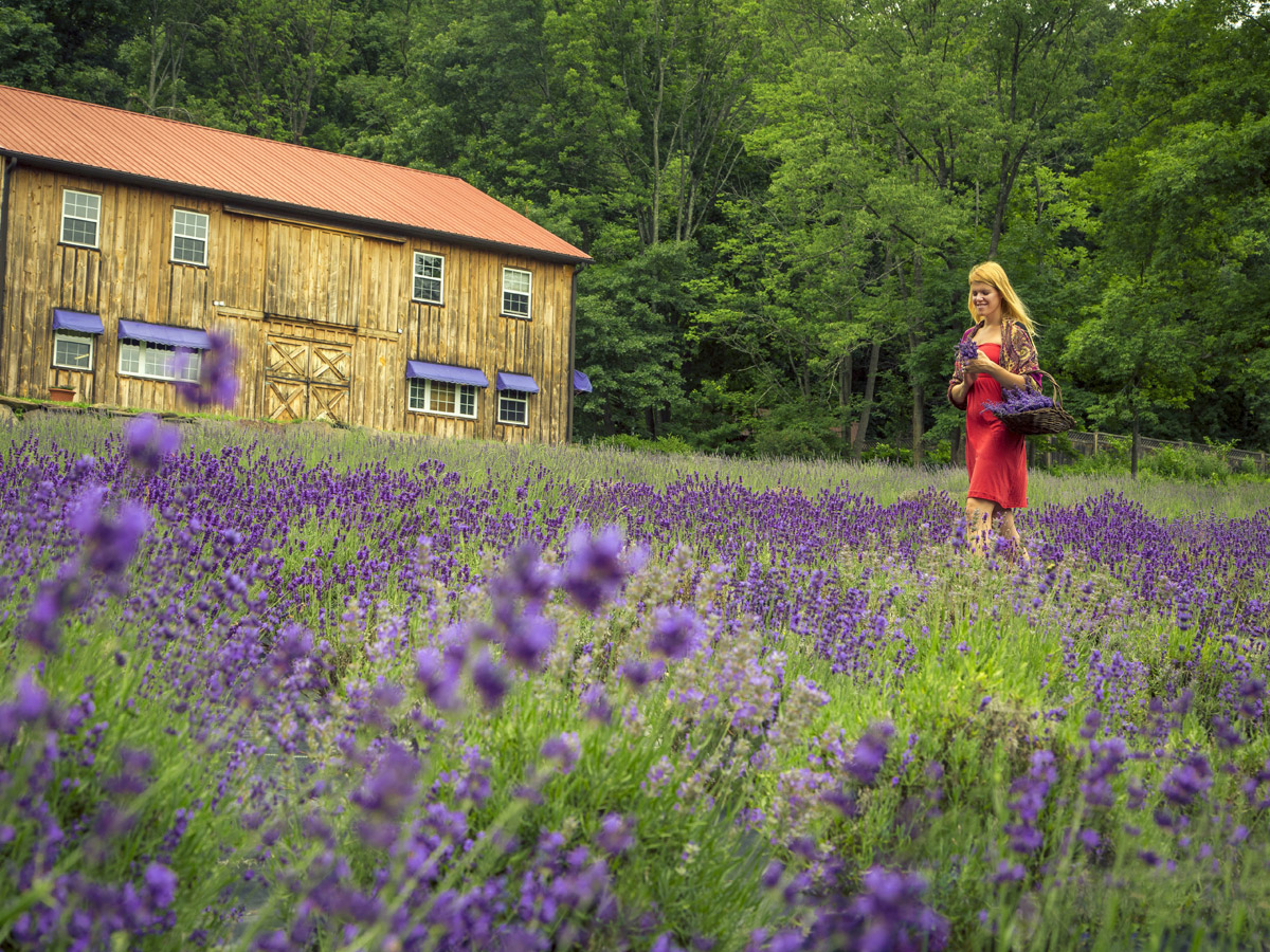 Philly's Hidden Gems: 20 Places You (Probably) Didn't Know About — Visit Philadelphia