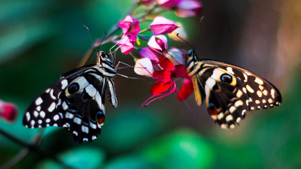 Philly's Hidden Gems: 21 Places You (Probably) Didn't Know About ...