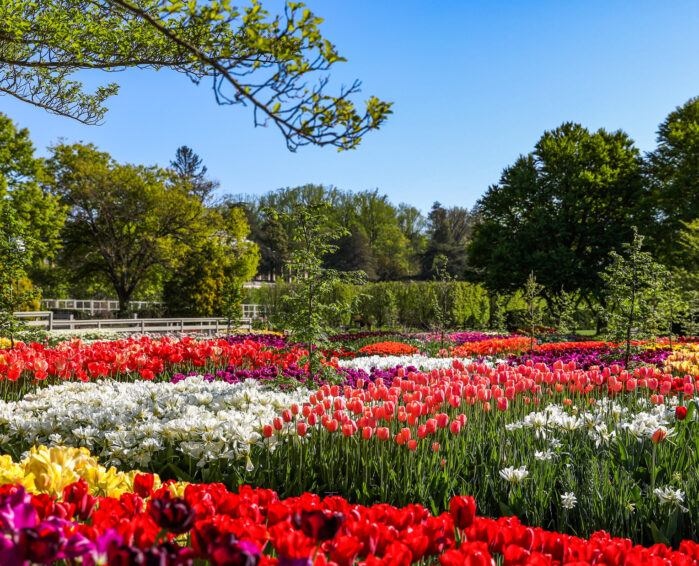 The Biggest Events & Fests in Philly in Spring | Visit Philadelphia