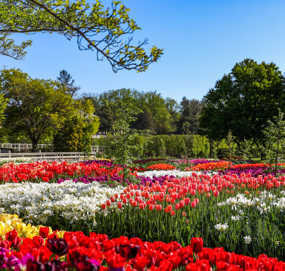 The Biggest Events & Fests in Philly in Spring | Visit Philadelphia