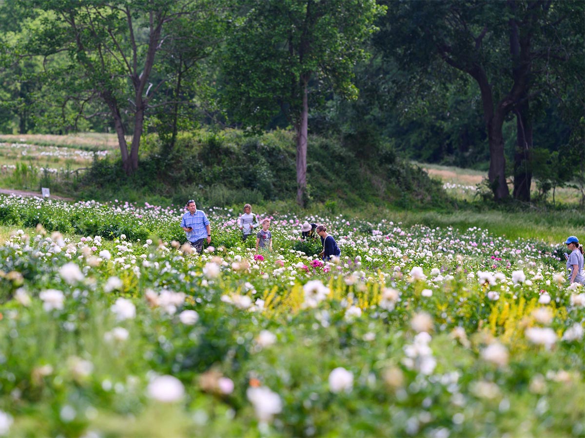 Top Things to Do in Philadelphia in May 2023 — Visit Philadelphia