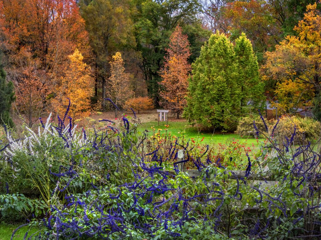 The 25 Most Beautiful Places in Philadelphia | Visit Philadelphia