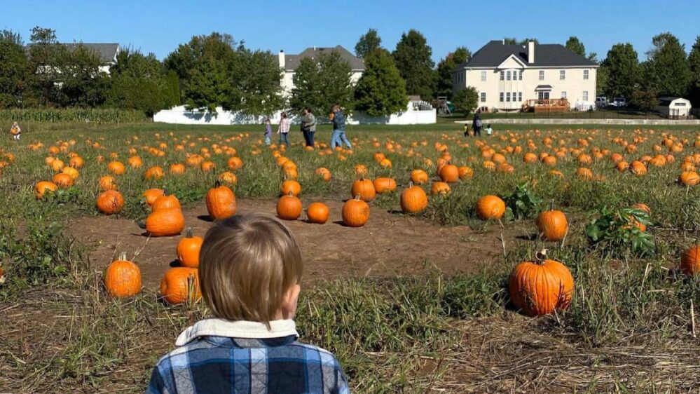 32 Farms & Attractions for Fall Fun in Greater Philadelphia in 2024 ...