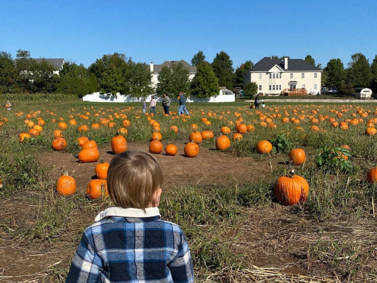 32 Farms & Attractions for Fall Fun in Greater Philadelphia in 2024 ...