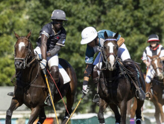 Sports in Philadelphia | Visit Philadelphia