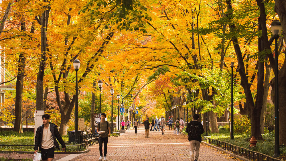 The Best Spots to View Fall Foliage in Greater Philadelphia | Visit ...