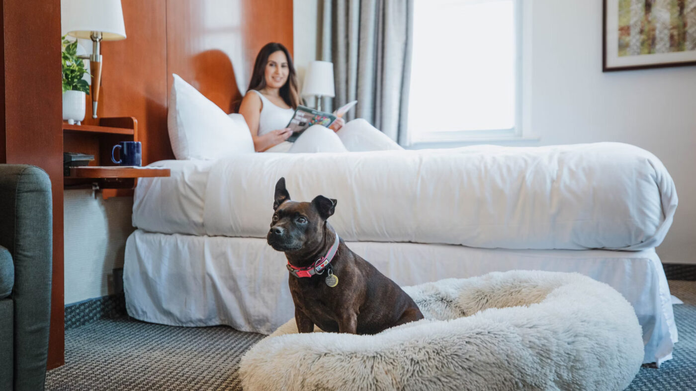 A Guide to Pet-Friendly Hotels in Philadelphia | Visit Philly