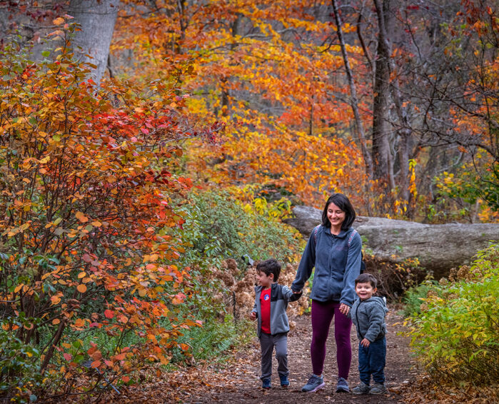 The 24 Best Gardens & Arboretums in Greater Philadelphia | Visit ...