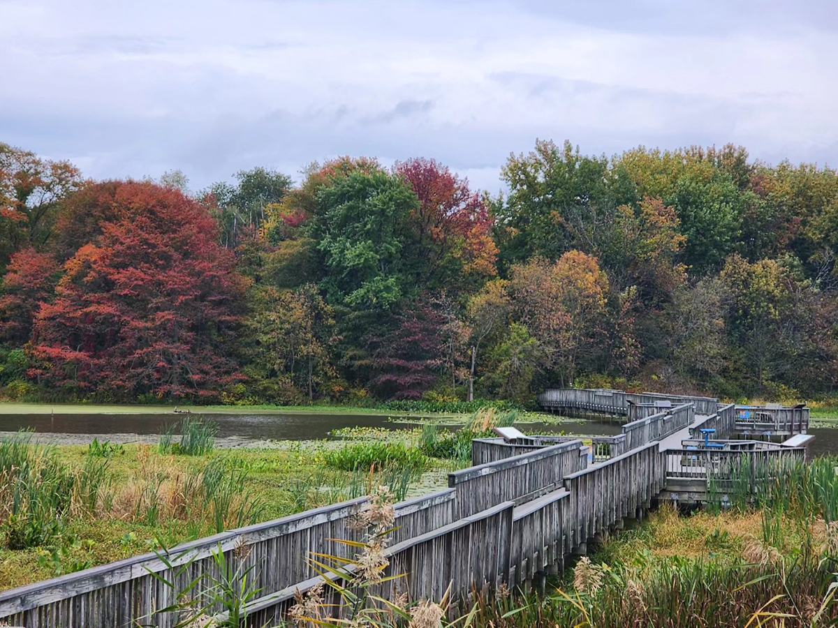 17 Places You Won't Believe Are in Philly | Visit Philadelphia