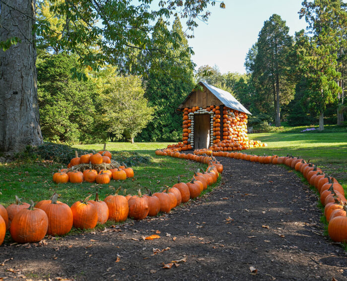 Farms & Attractions for Fall Fun in Greater Philadelphia in 2025 ...
