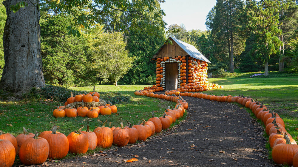 Farms & Attractions for Fall Fun in Greater Philadelphia in 2025 ...