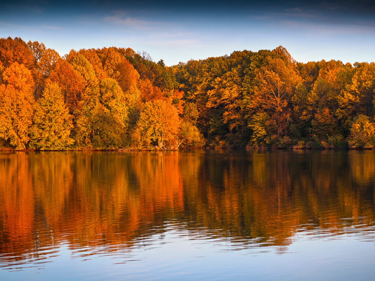 The Best Spots to View Fall Foliage in Greater Philadelphia | Visit ...