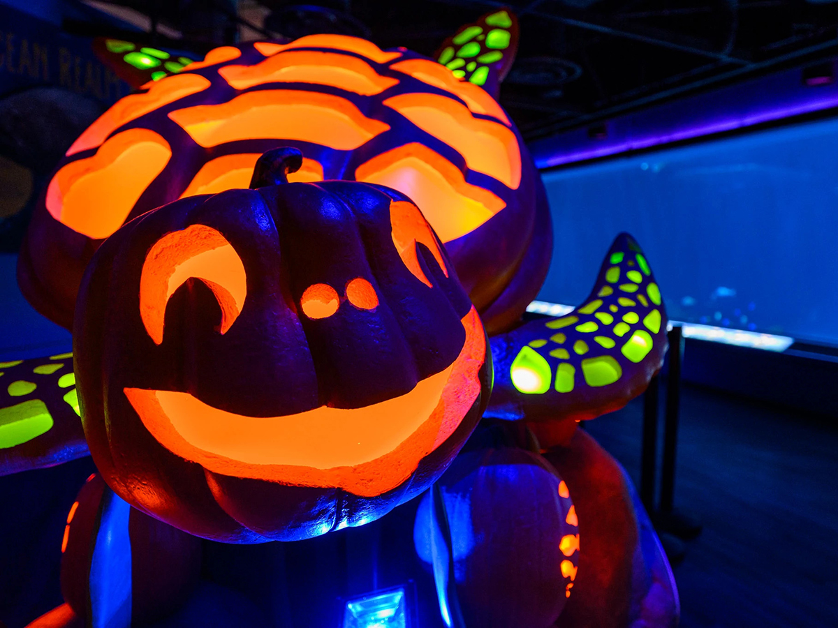 50+ Events & Fests for Halloween Season 2025 in Philly | Visit Philadelphia