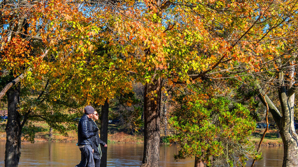 The Best Spots to View Fall Foliage in Greater Philadelphia | Visit ...