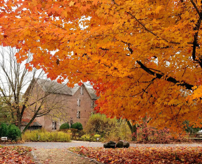 The Best Spots to View Fall Foliage in Greater Philadelphia | Visit ...