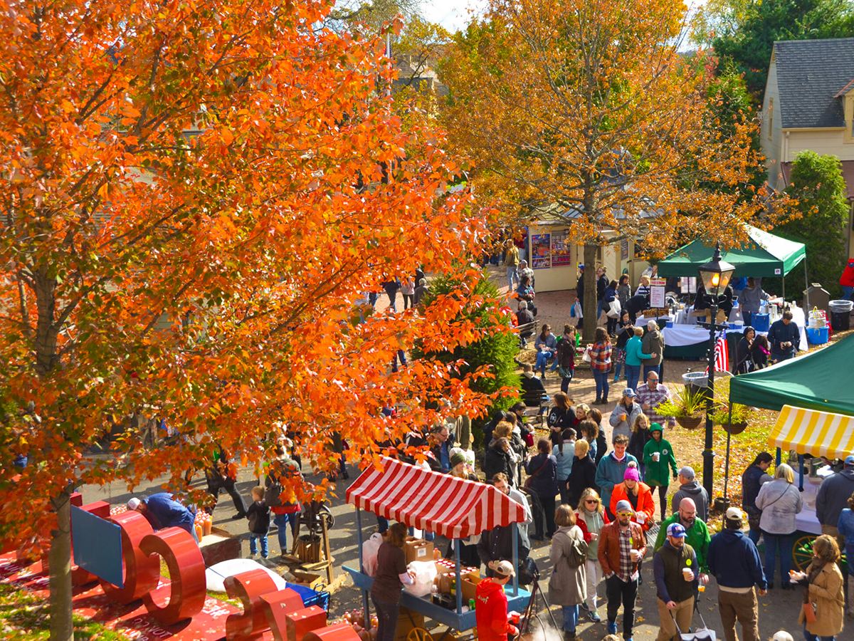 The Best Spots to View Fall Foliage in Greater Philadelphia | Visit ...