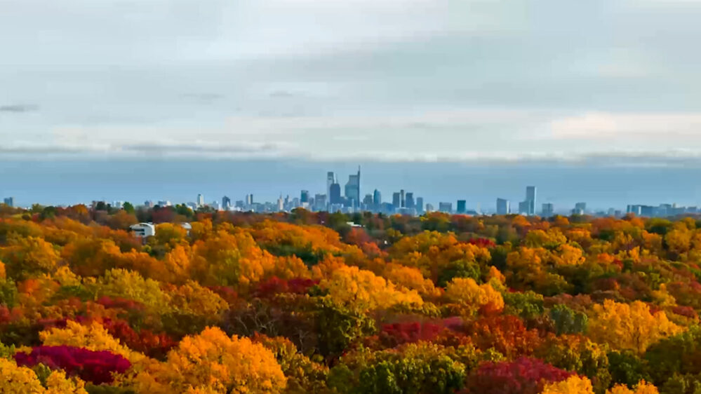 Four Fall Foliage Road Trips in Greater Philadelphia | Visit Philadelphia