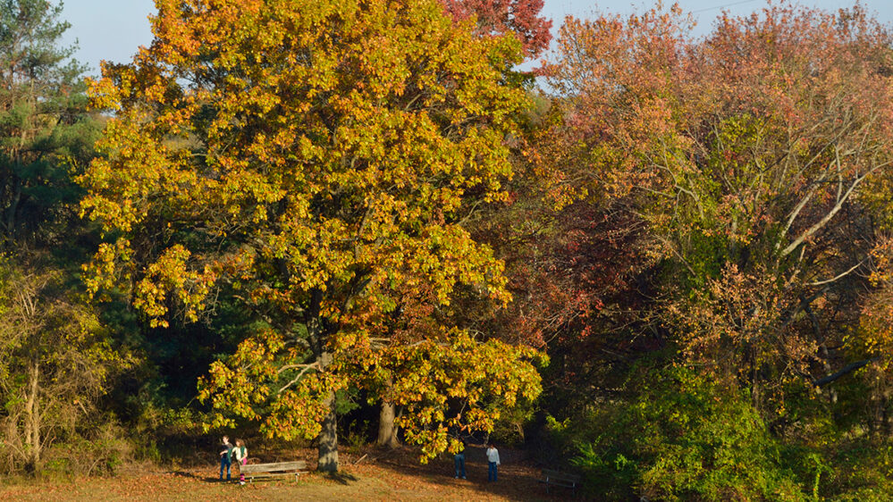 The Best Spots to View Fall Foliage in Greater Philadelphia | Visit ...