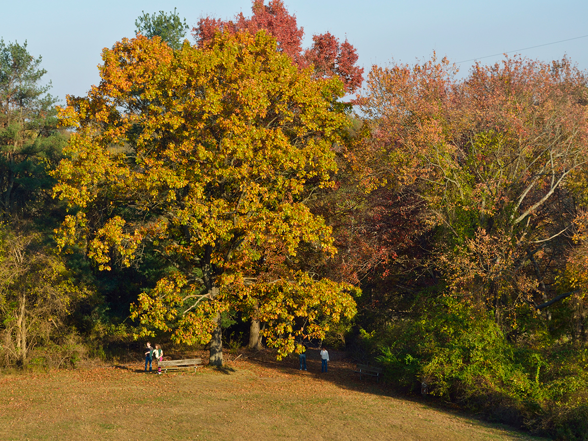 The Best Spots to View Fall Foliage in Greater Philadelphia | Visit ...