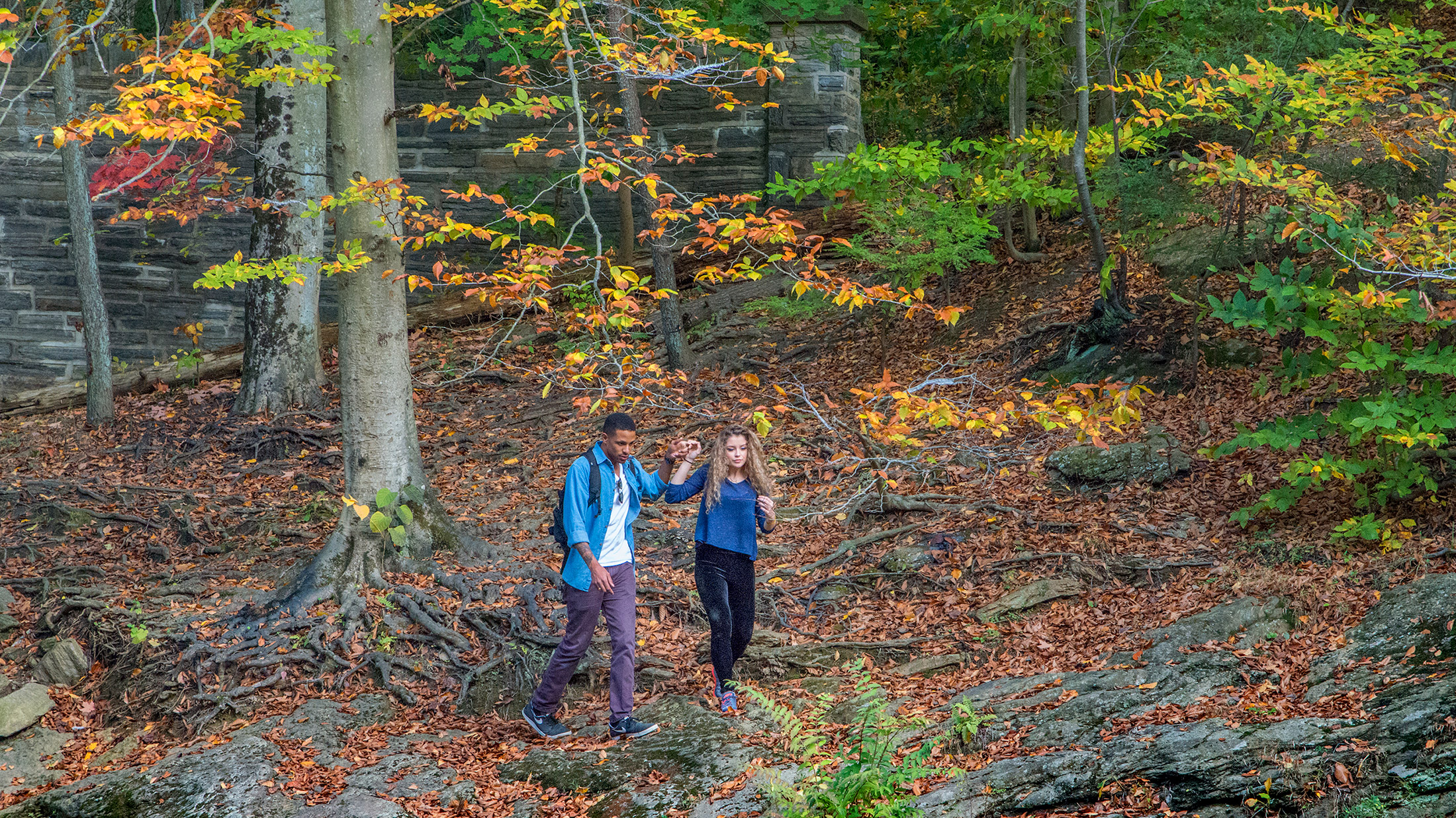 Fall Events in Philadelphia | Visit Philadelphia