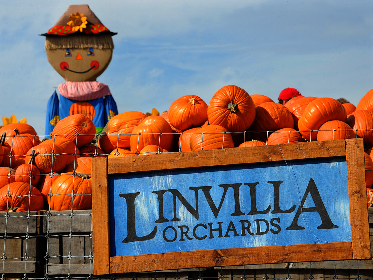 The Best Things to Do in Philly in November 2024 | Visit Philadelphia