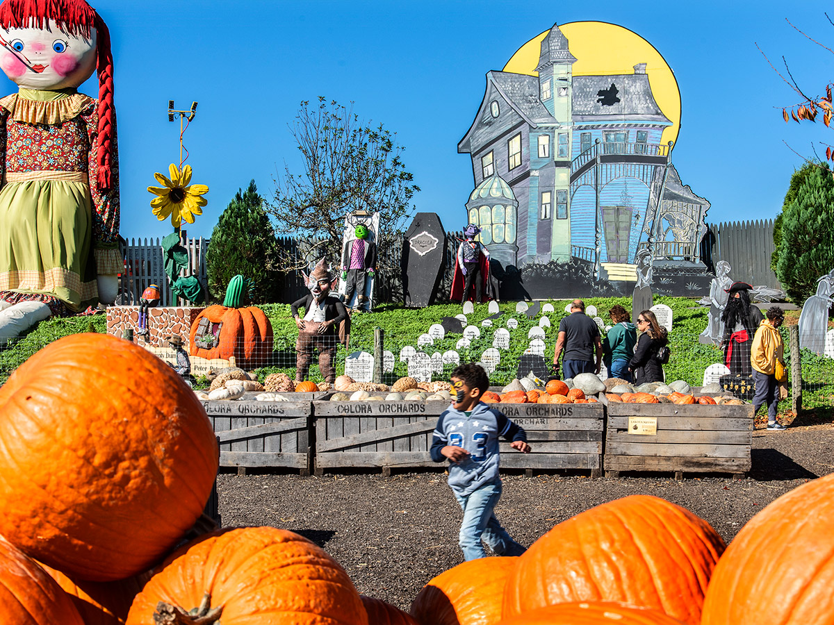 The Best Things to Do in Philly in November 2024 | Visit Philadelphia