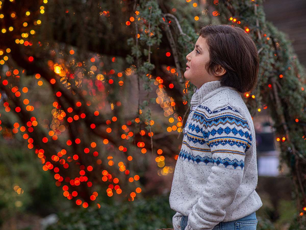 2024 Holidays at Peddler’s Village: Five Can't-Miss Experiences | Visit ...