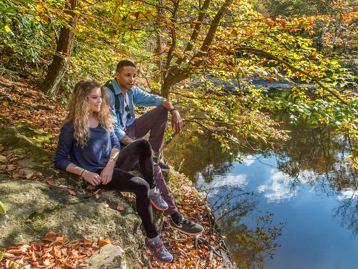 November 2025 in Philly: The Biggest Events, Fests & Exhibitions ...