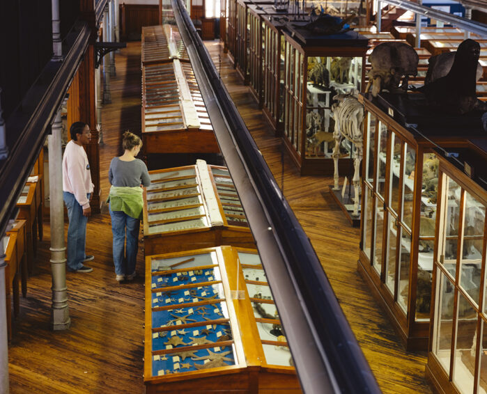 Philly's Hidden Gems: 25 Places You (Probably) Didn't Know About ...