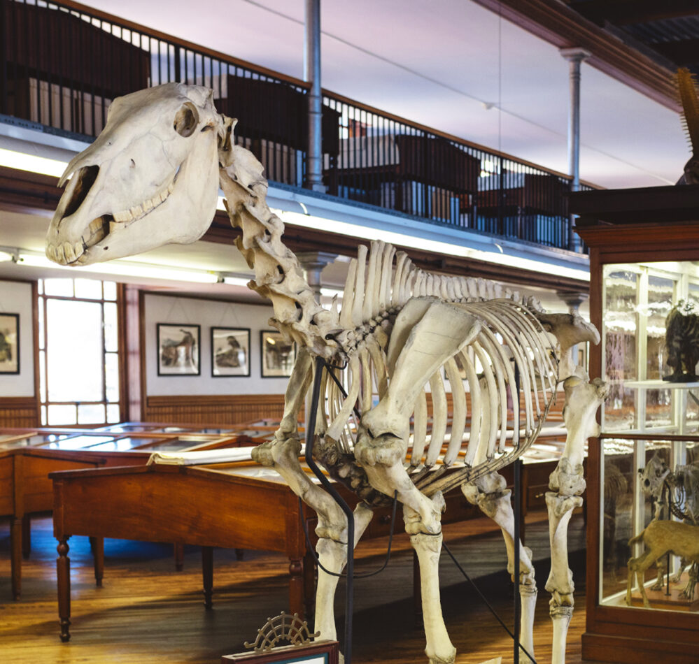 Wagner Free Institute of Science | Visit Philadelphia