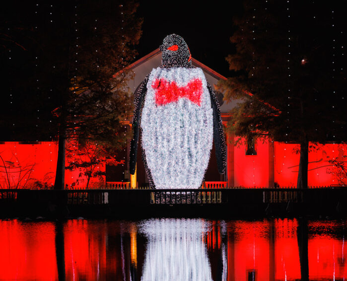 LumiNature at the Philadelphia Zoo: My Five Favorite High-LIGHTS ...