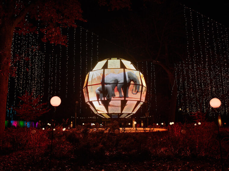 LumiNature at the Philadelphia Zoo: My Five Favorite High-LIGHTS ...