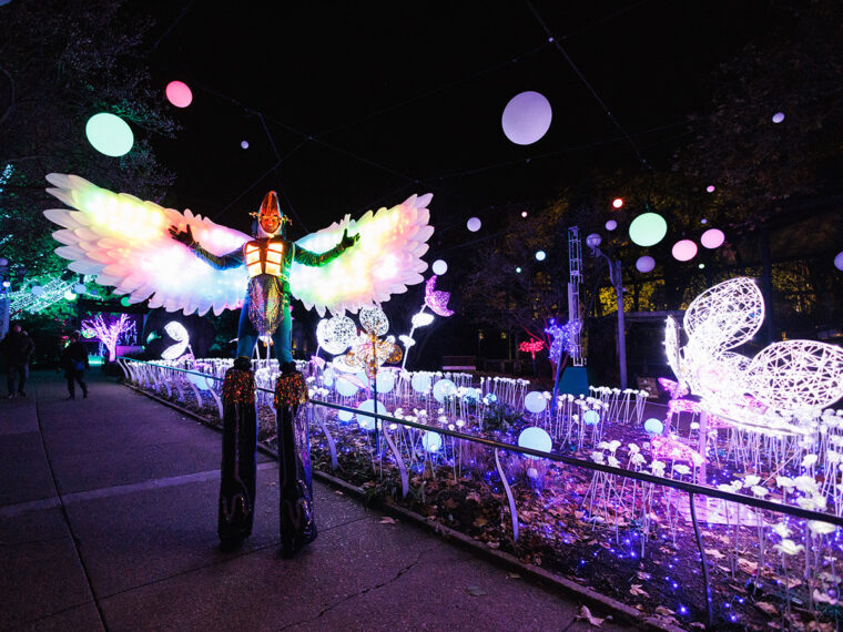 LumiNature at the Philadelphia Zoo: My Five Favorite High-LIGHTS ...