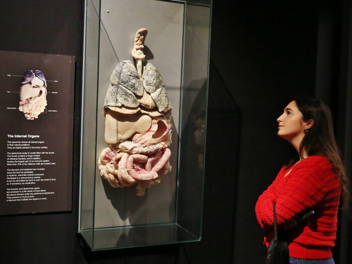 BODY WORLDS 2025 in Philly: Four Can't-Miss Things to See | Visit ...