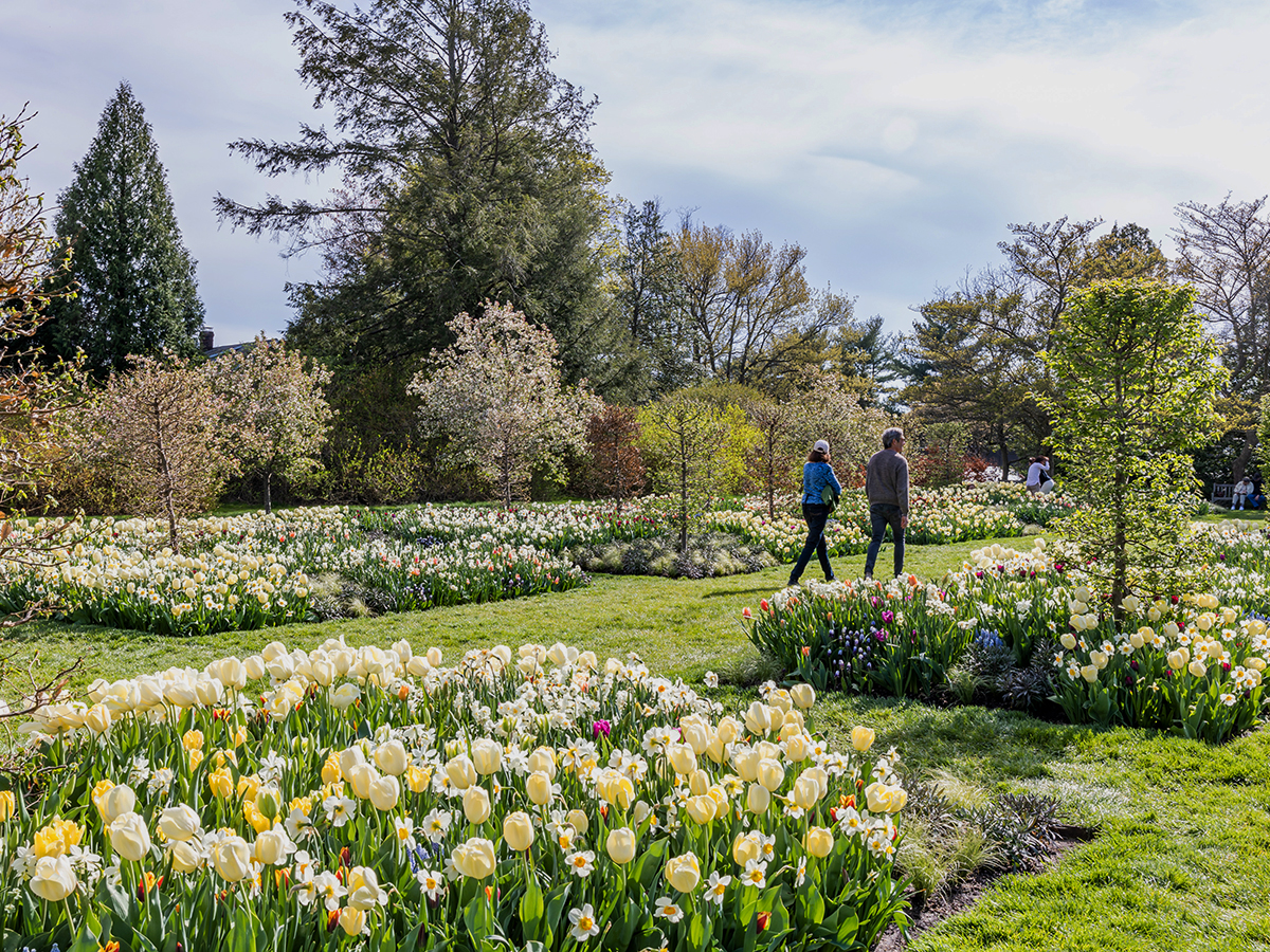 The Best Things to Do in Philly in April 2025 | Visit Philadelphia