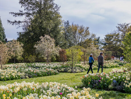 Spring Events in Philadelphia | Visit Philadelphia