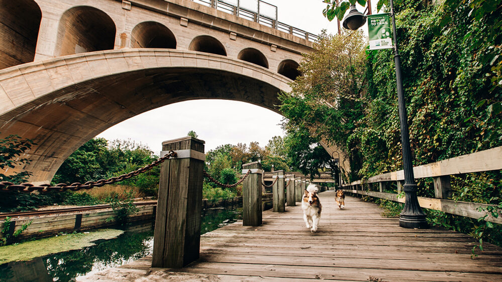 Philly's Hidden Gems: 25 Places You (Probably) Didn't Know About ...